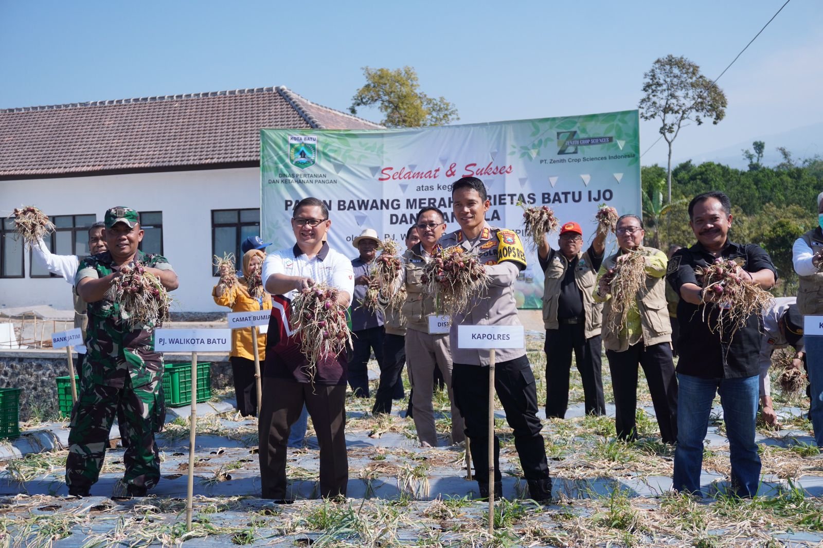 malang-post.com - Torongrejo jadi Sentra Pertanian Bawang Merah Kota Batu