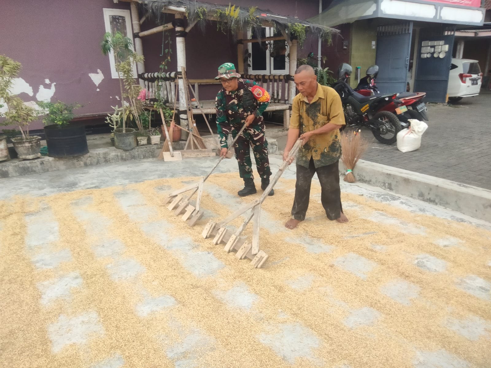 malang-post.com - Dorong Kemandirian Pangan, Babinsa Tlogowaru Bantu ...
