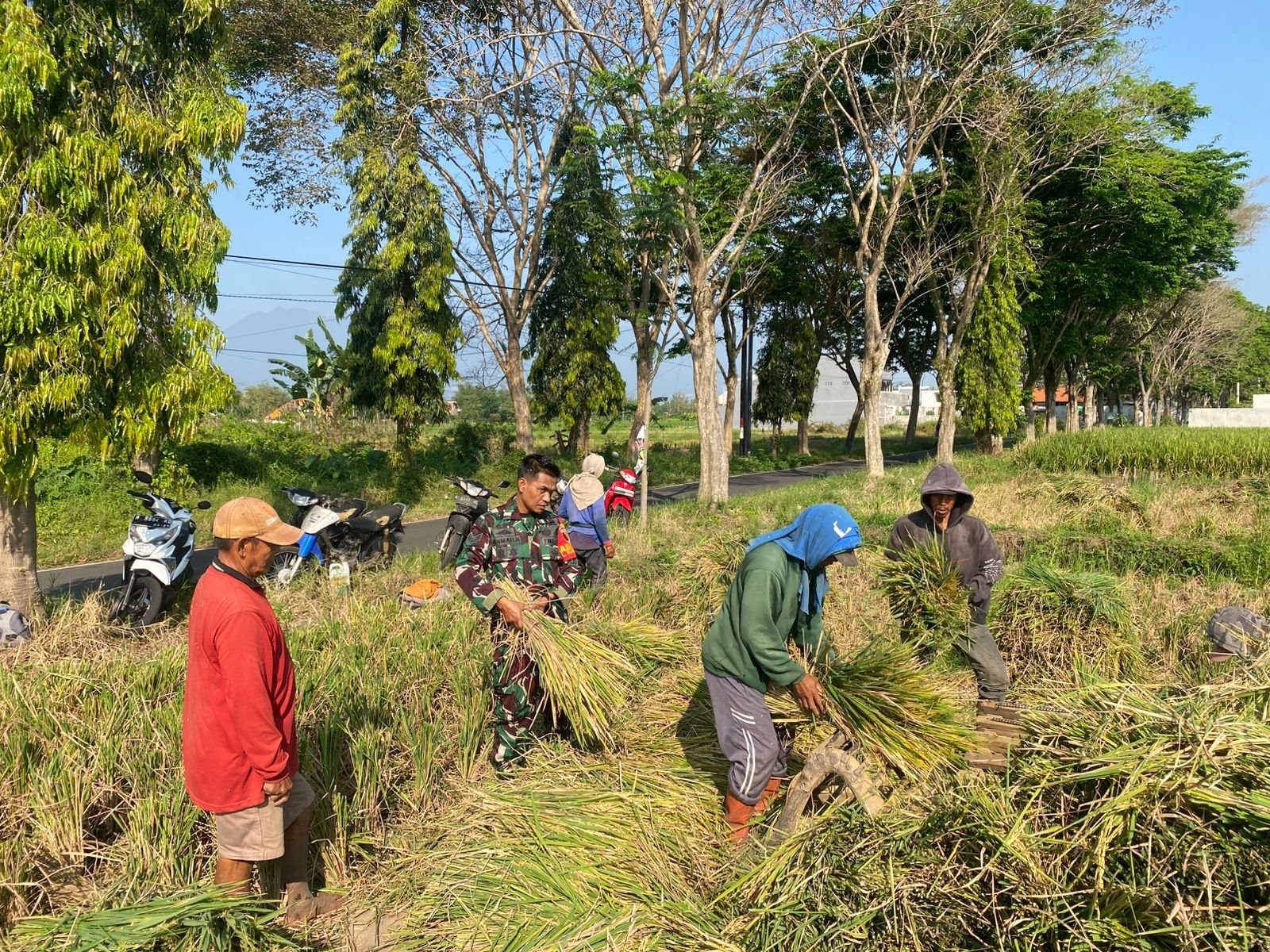 malang-post.com - Babinsa Lowokwaru Sukses Tingkatkan Semangat Petani ...